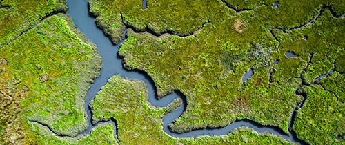 JNCC - Adviser to Government on Nature Conservation